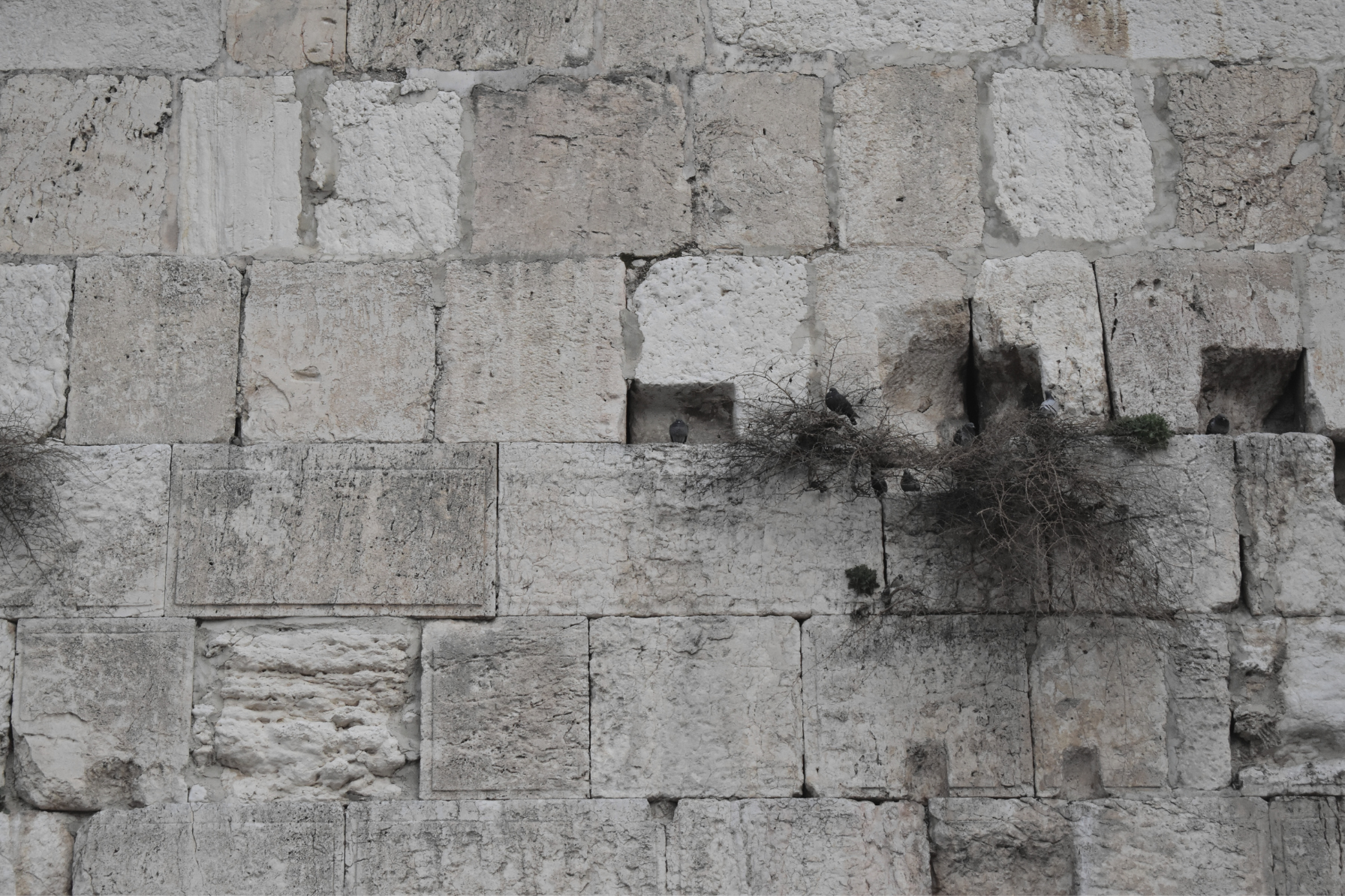 Jerusalem City Wall Texture
